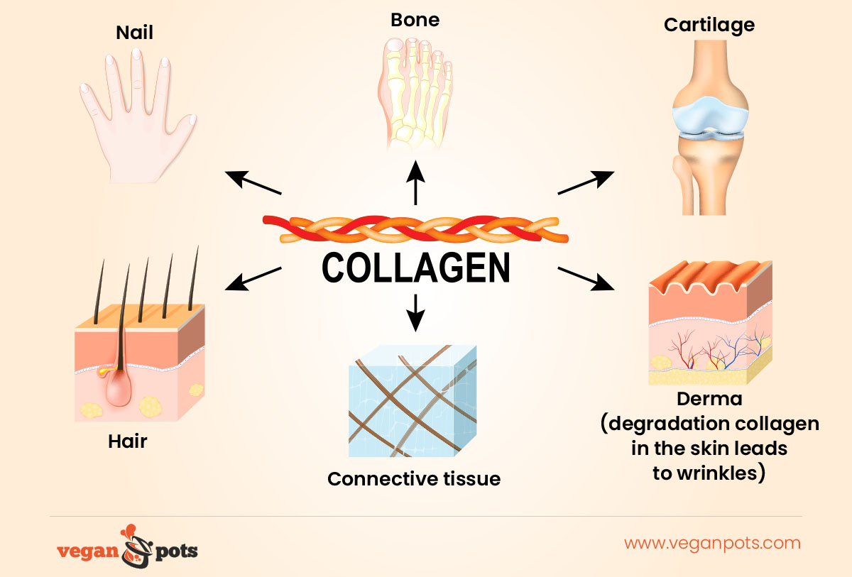 Can collagen be vegan, or is there a vegan alternative?