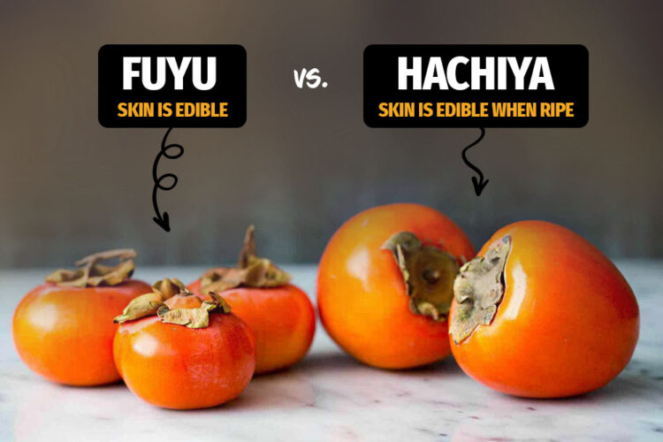 Persimmon Skin: Tasty Treat or Toxic Waste? - Vegan Pots