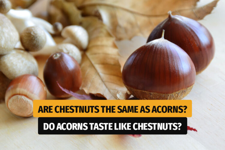 The Nutty Battle: Chestnuts versus Acorns - Vegan Pots