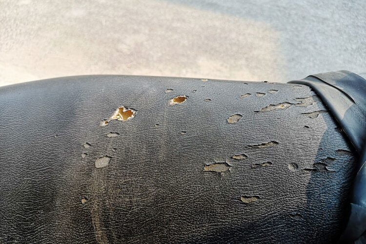 The Durability Test: How Does Vegan Leather Hold Up?