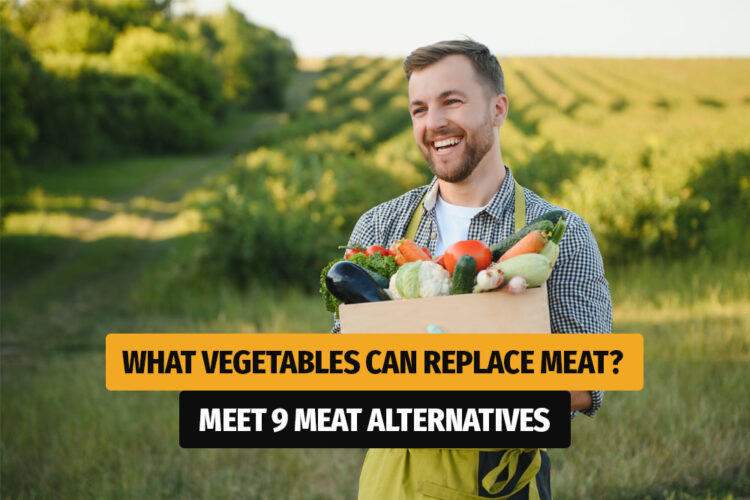 What Vegetables Can Replace Meat? Meet 9 Meat Alternatives